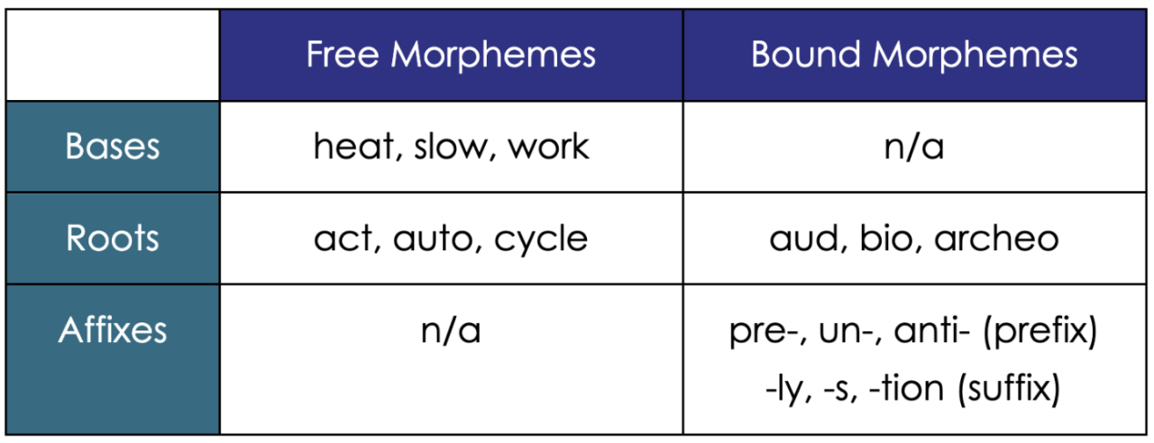 How to Teach Morphology in Literacy (with Examples)